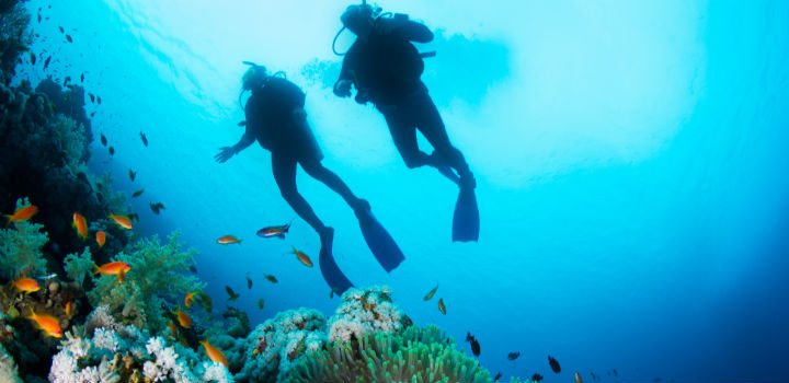 Forkæl dig selv med en dykkerferie | JustArrived.dk